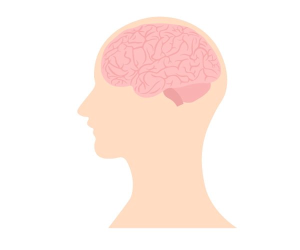 【脳科学に学ぶ 子育ての極意】 実践ガイド｜422 yasu