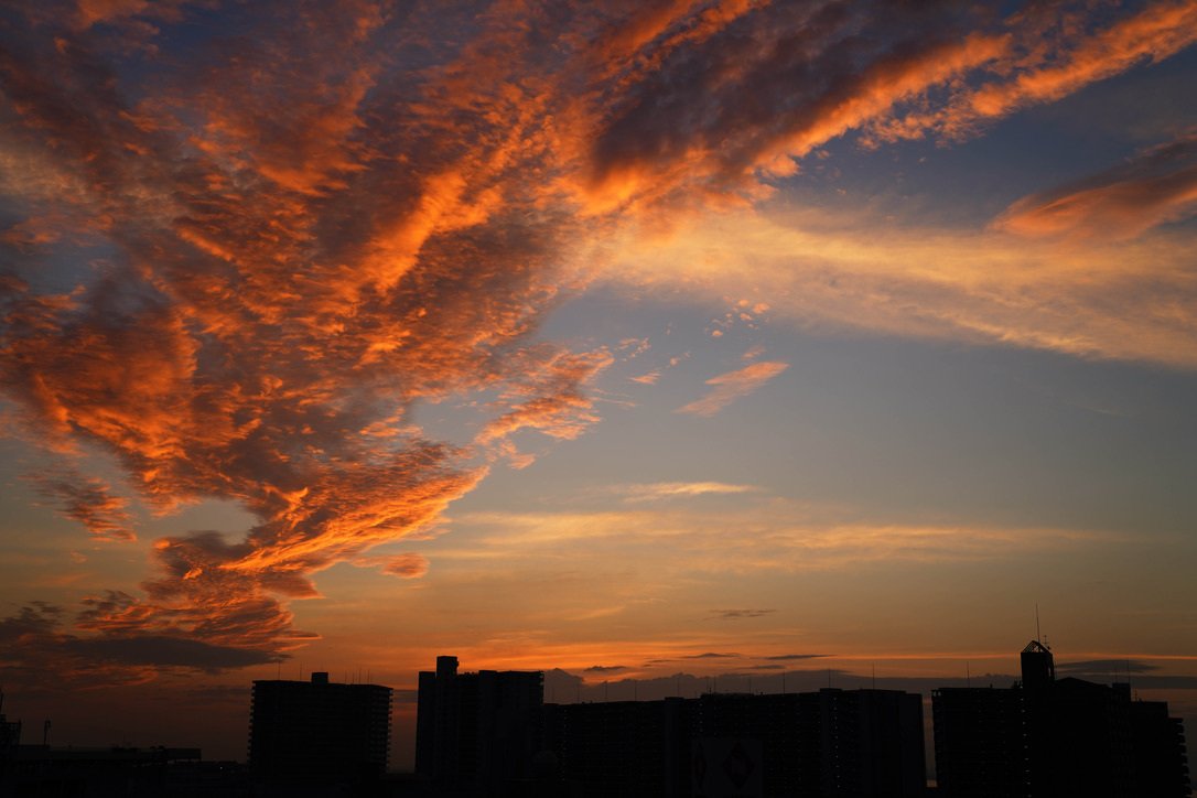 もし、写真をしていなかったら｜005 akkiy