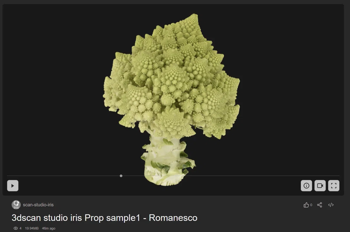 View 3D Gaussian Splatting Right in Your Browser!｜steam studio / 3D ...