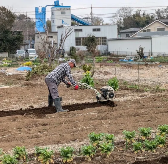 Vegetables that are useful in case of an emergency!｜J:COM地域取材ノート