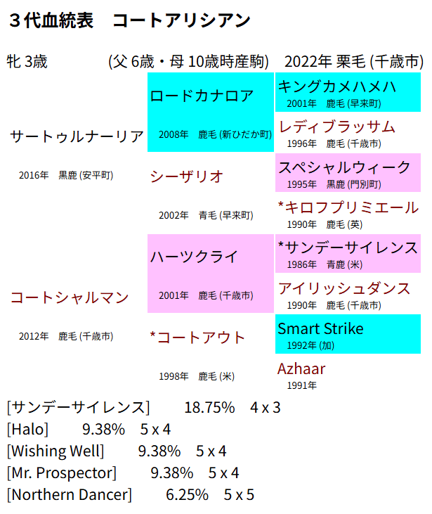 【AI分析】ニュージーランドT・レース回顧（2025）｜VRS18🐴