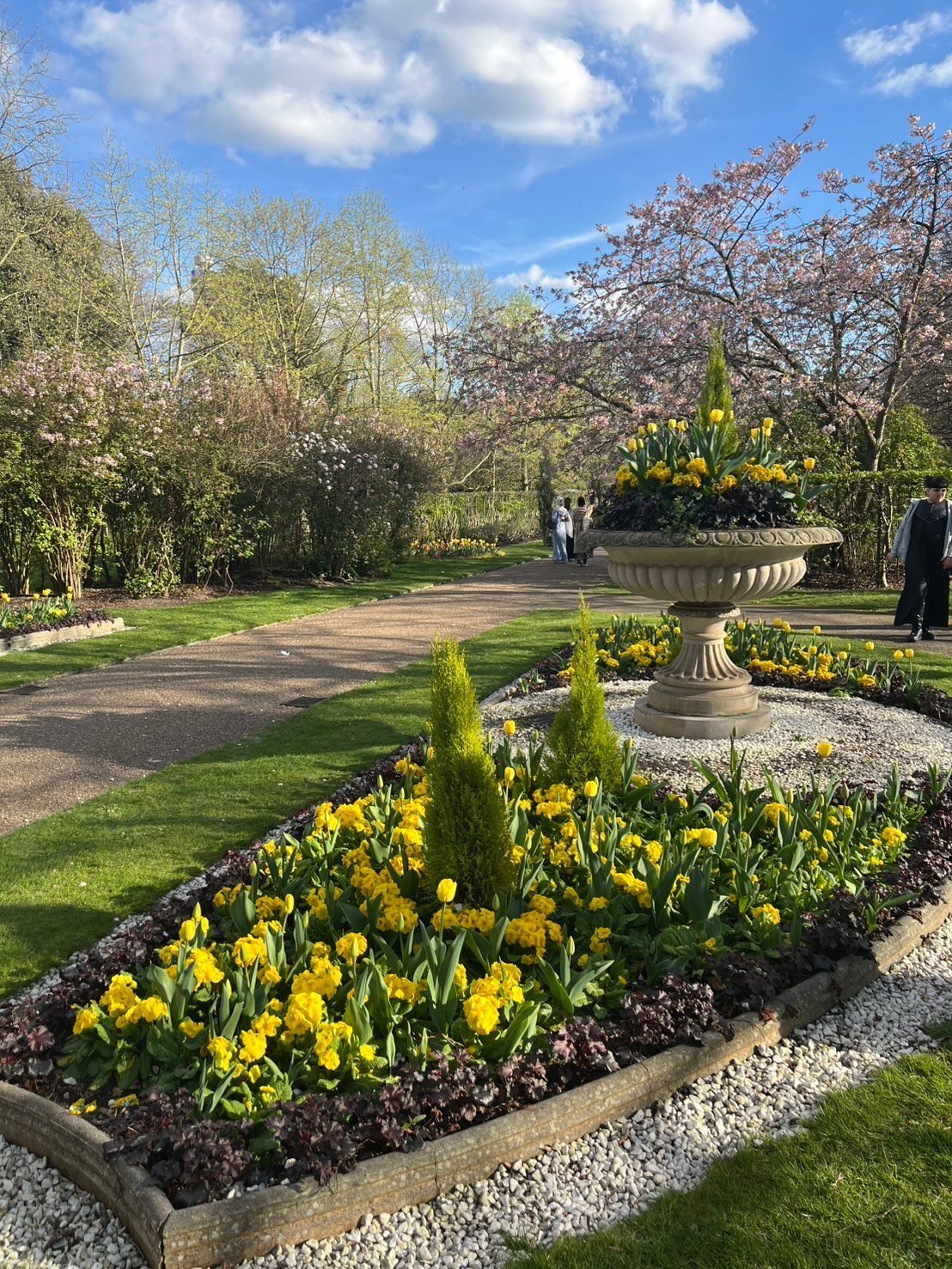 公衆衛生って、実際に何がしたいの？｜Ogaのボコボコー旅