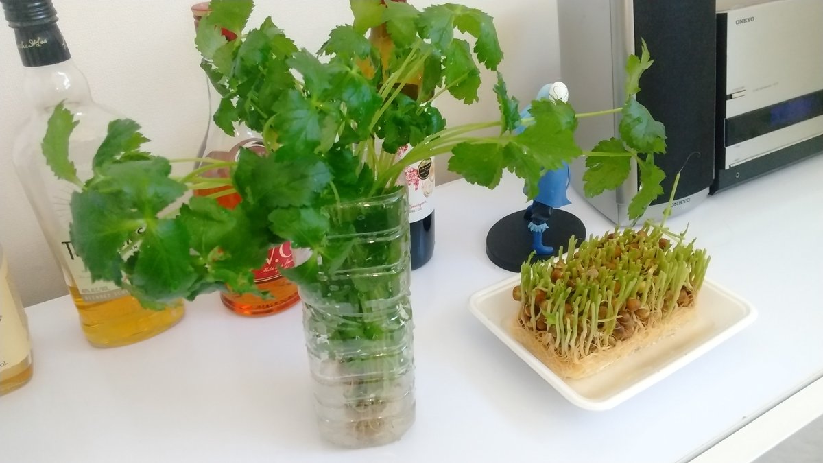 33.ノートからnoteへ【悪霊退散！！】20230322｜chiisana_shiawase