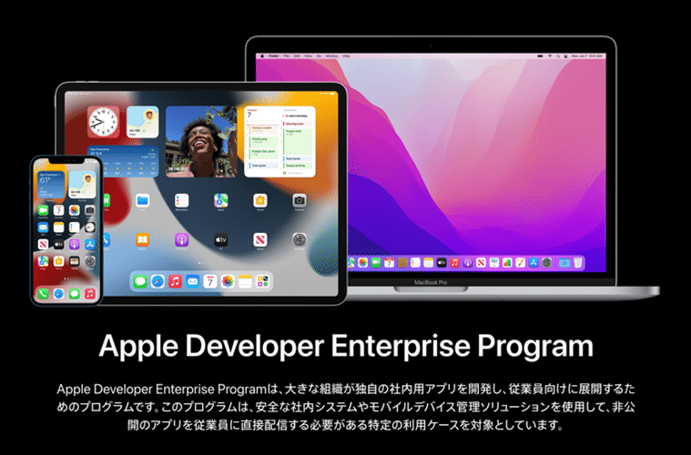 様々なiOS向けアプリケーション 配布方法のご紹介｜株式会社エム・ソフト公式