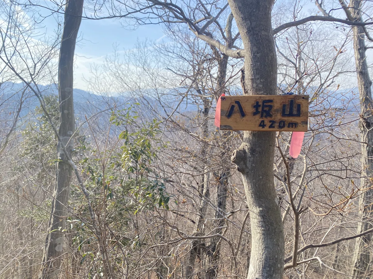 【遠征トレラン】藤野駅発着。日連アルプスをめぐる周回9.7km。｜Nobulapse