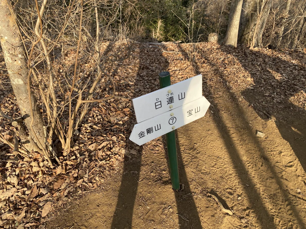 【遠征トレラン】藤野駅発着。日連アルプスをめぐる周回9.7km。｜Nobulapse