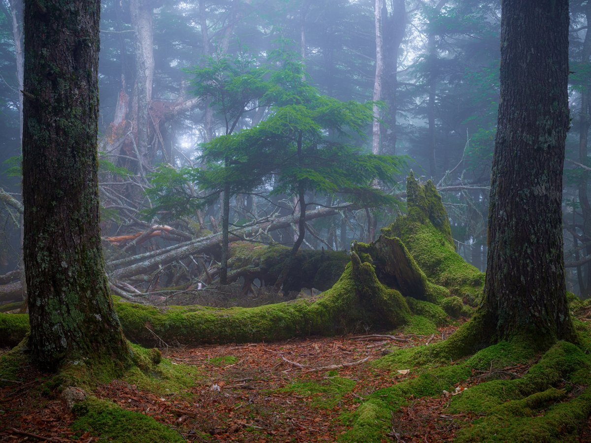 新時代の風景写真 Intimate Landscape | はじめてのnote｜Kazuki.S