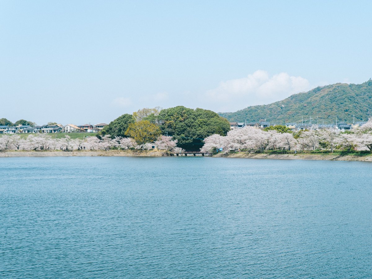 春の風と柔らかな陽気 / Nokton 35mm f1.2｜Rintaro Shimada