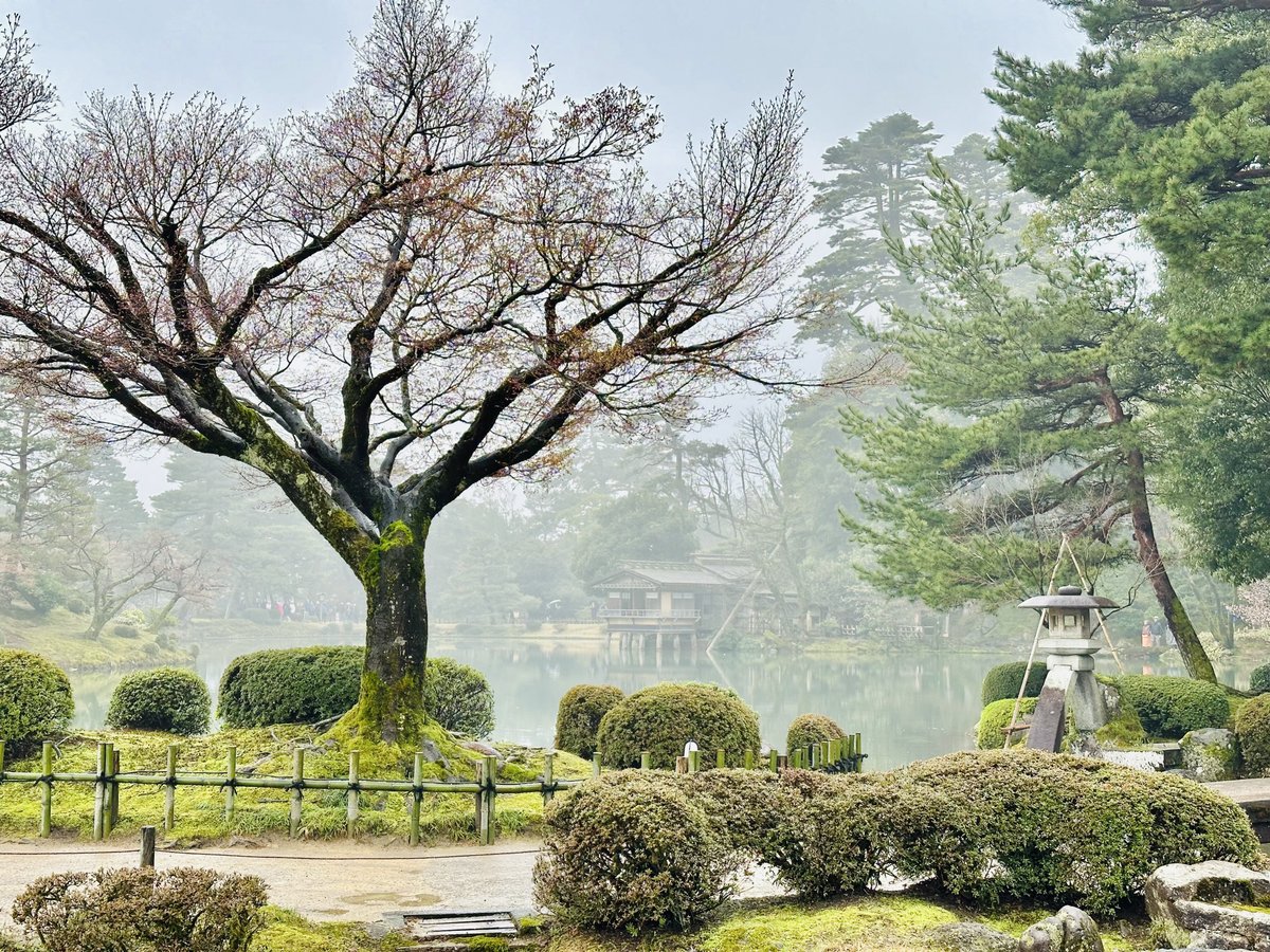 ん？これは私と胃袋との戦いなんだよ！邪魔するな！！！！｜大森 純 | Sumi Ohmori