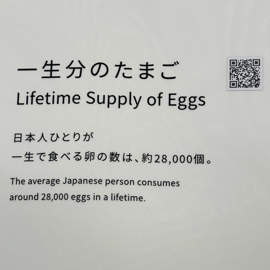 【大阪万博】予算1.2万円💫20スポット巡ったリアル体験記｜たわん（超弾丸トラベラー／趣味はお絵描き！）
