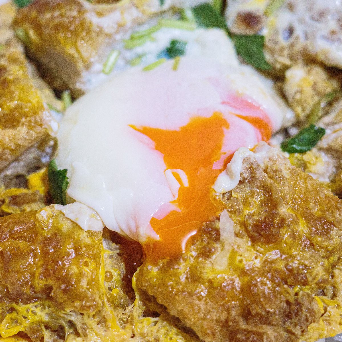 カツ丼人間：Anizine｜ワタナベアニ