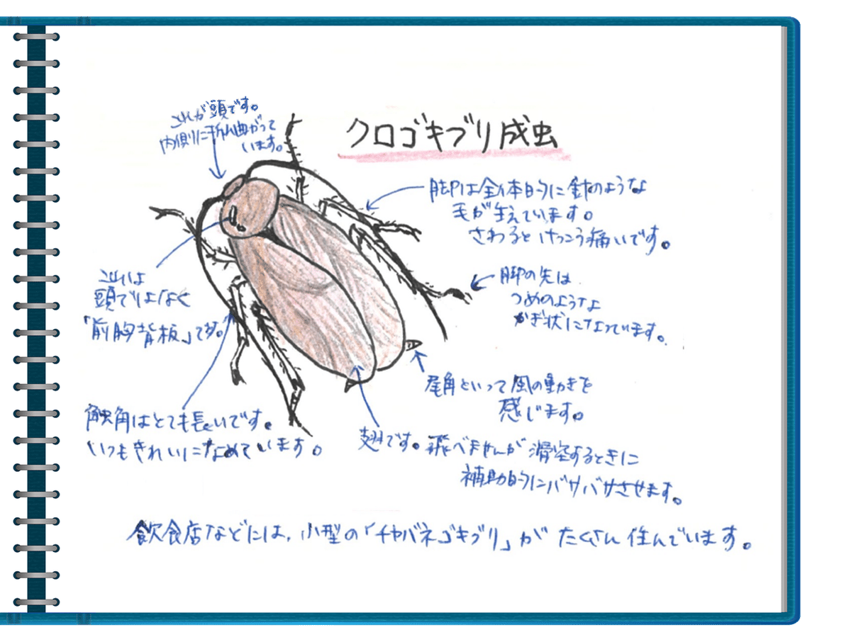 Gのひみつ研究ノート～相手を知ると、対策も立てやすい｜KINCHO 大日本除虫菊株式会社