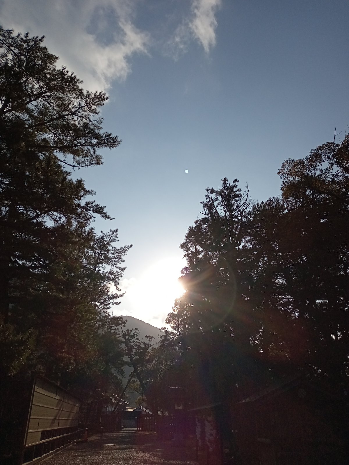 出雲大社に行って来ました｜Reirin_tarot