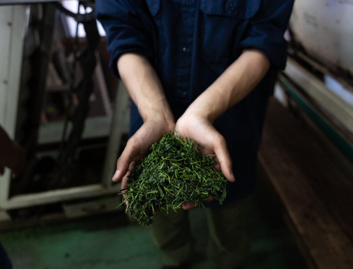 「お茶」にも携わるようになった経緯、ゆるっと語ります｜Naoki Yasuda