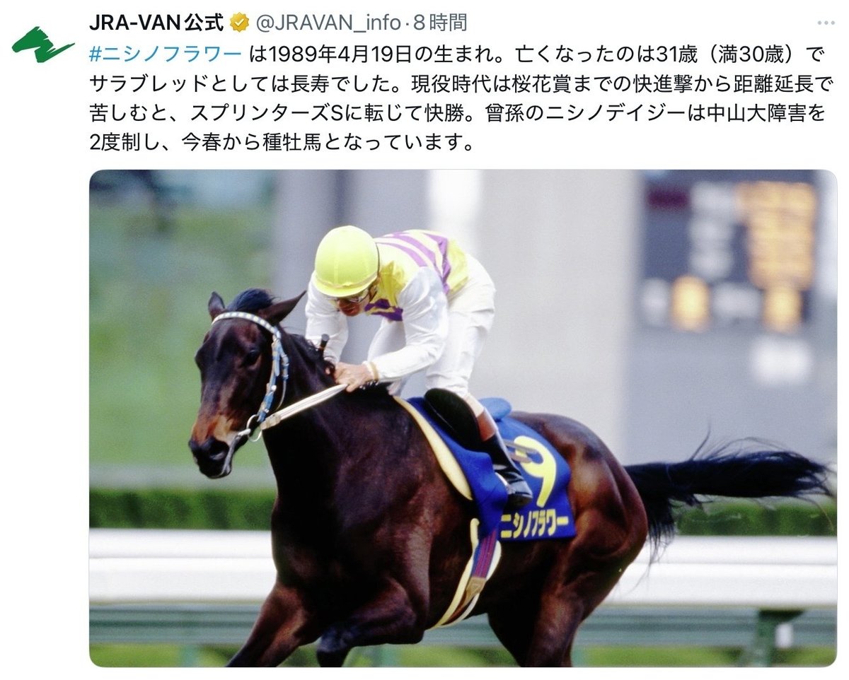 [JRA]J-G1中山グランドジャンプ2025サイン考察②JRAVAN公式X＆美食ファンファーレ｜鳩胸男のサイン競馬