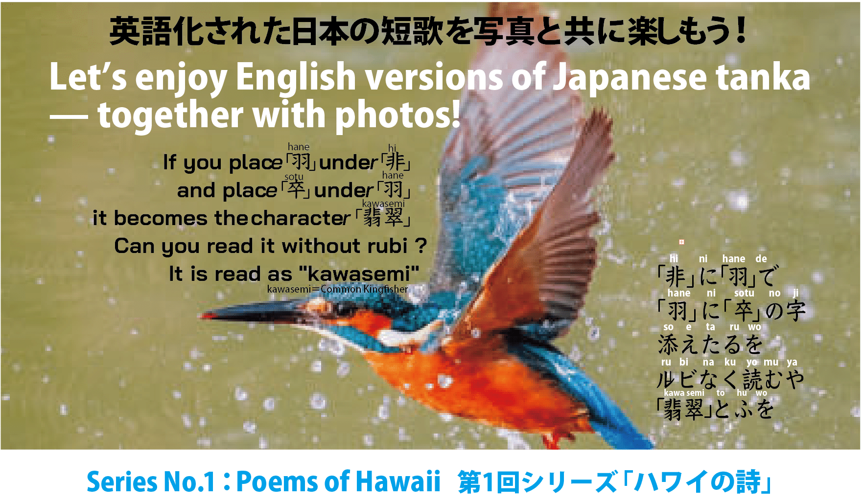 TANKA into ENGLISH with Photo｜Hiro-gawa