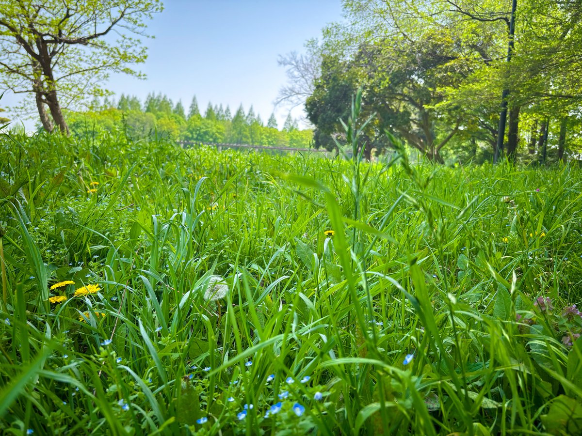 春の風｜詩｜rira