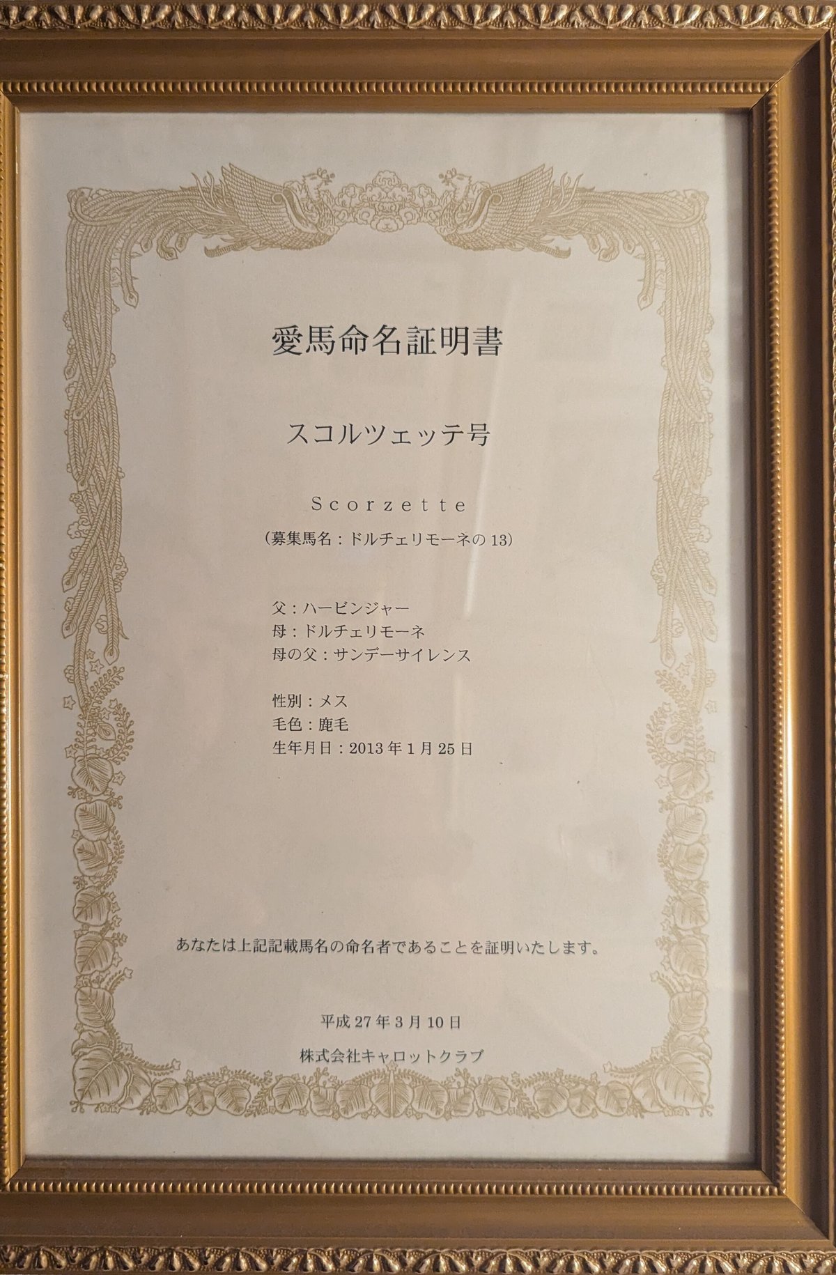 Zukachan racing 命名部 黒田｜Zukachan