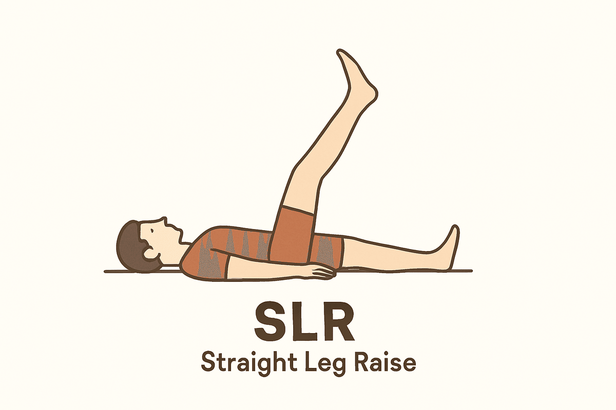 【運動療法×機能解剖】もも上げ運動（SLR）で主に働く筋肉は？〜腸腰筋が担う重要な役割とは〜｜PT yoshi