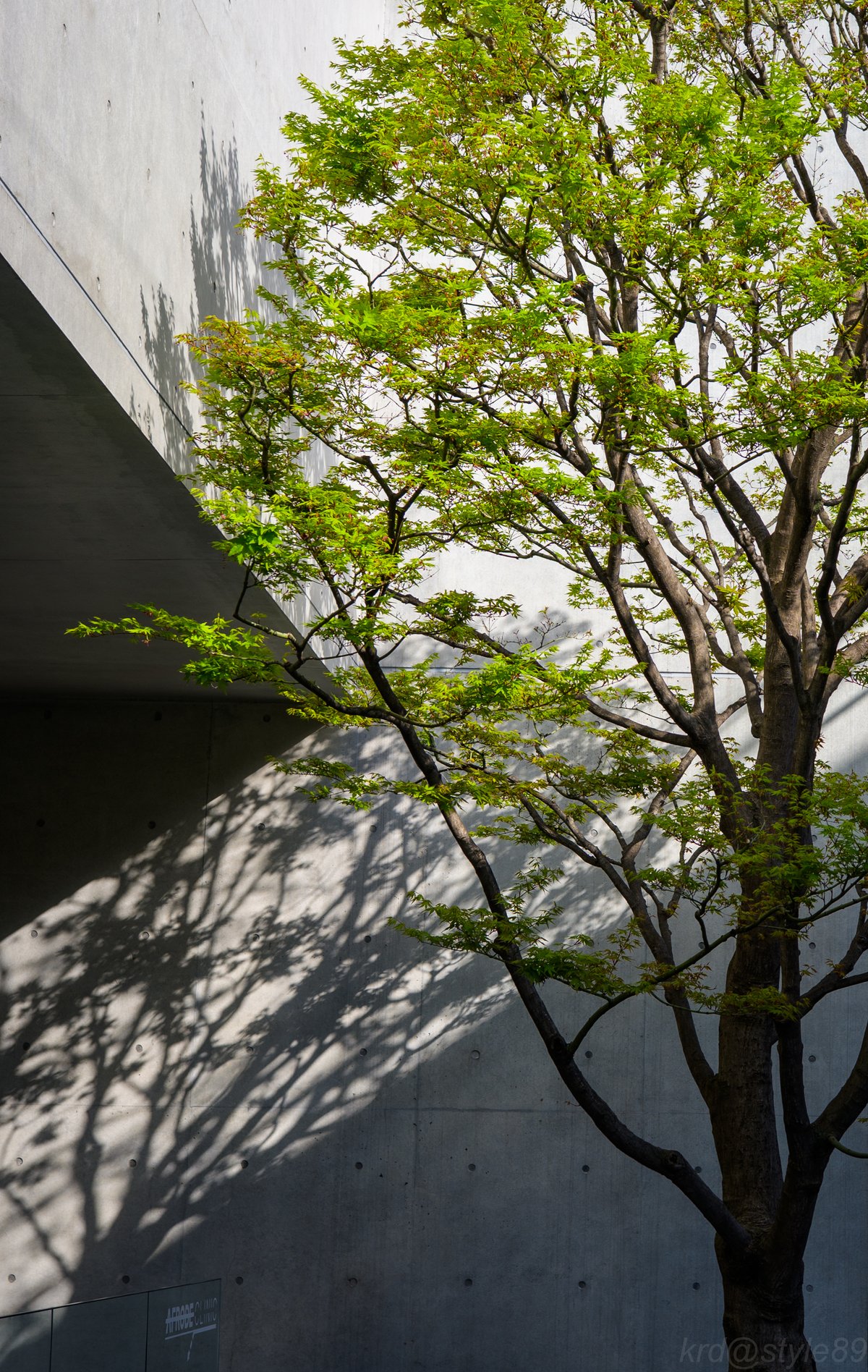 東京散歩 表参道～新宿｜krd@style89