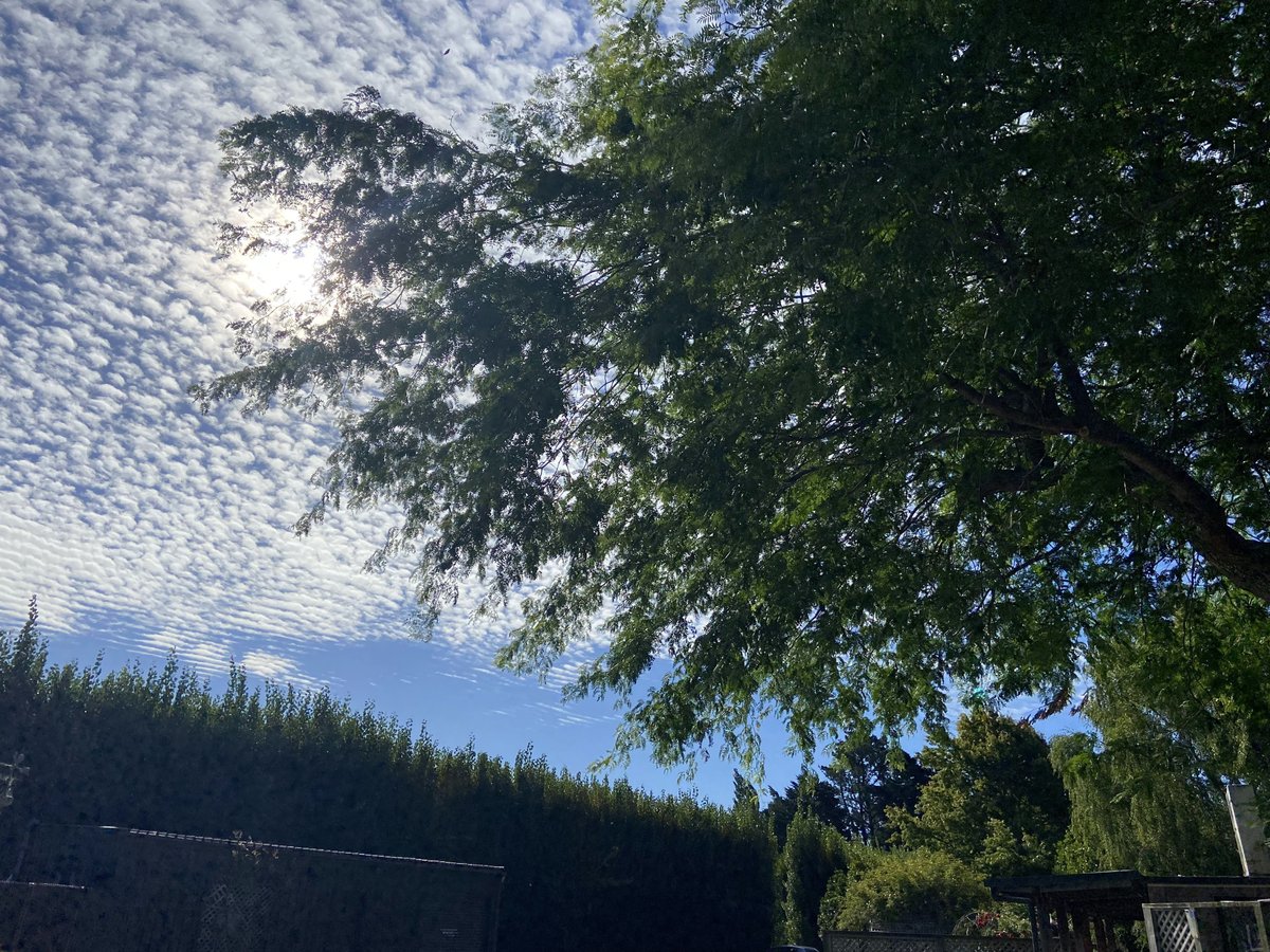 とりあえず書き続けること｜butterko