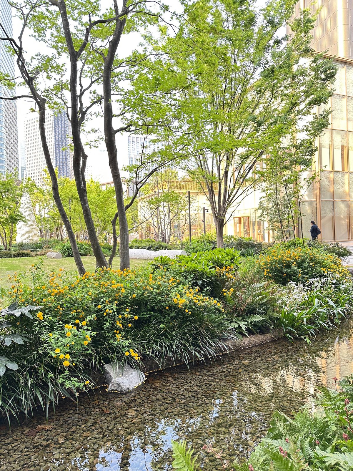 東京散歩 番外編 麻布台ヒルズ｜tsukiko