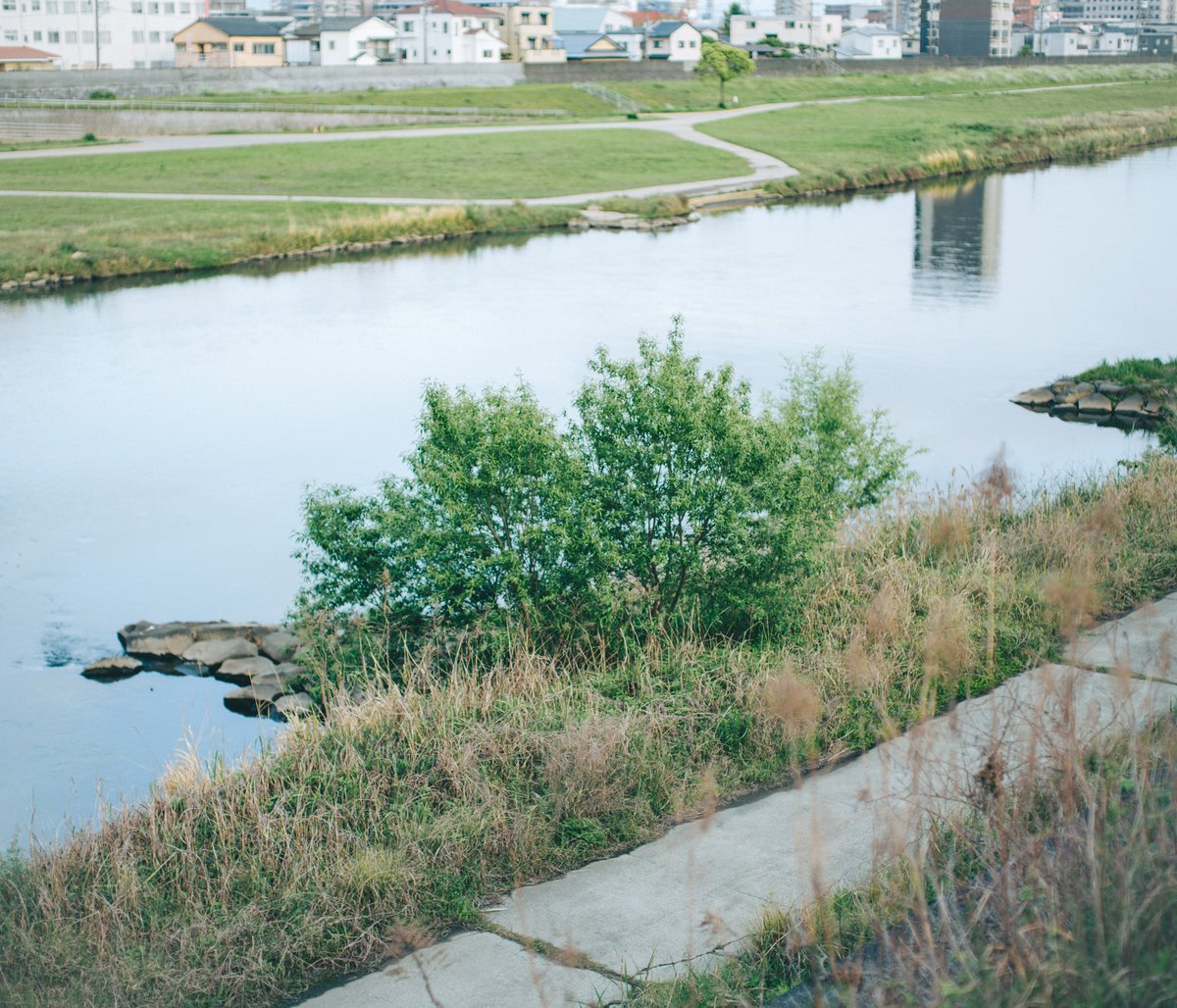 新しい相棒がやってきました。 /GFX50SⅡ/mitakon65mm f1.4｜Rintaro Shimada