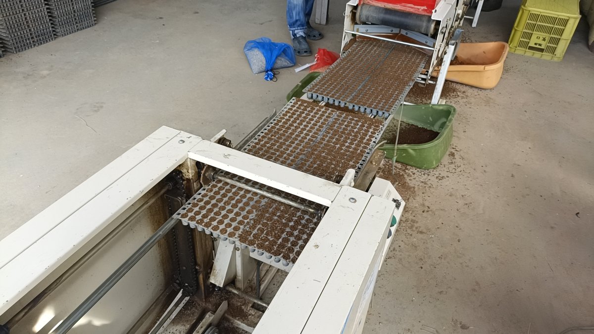 種まき vol 3｜shanthi-usui