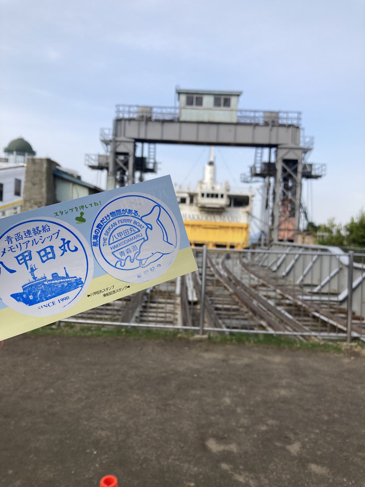 【マラソン】2025あおもり桜マラソンを走ってきた｜Yuusuke_Run