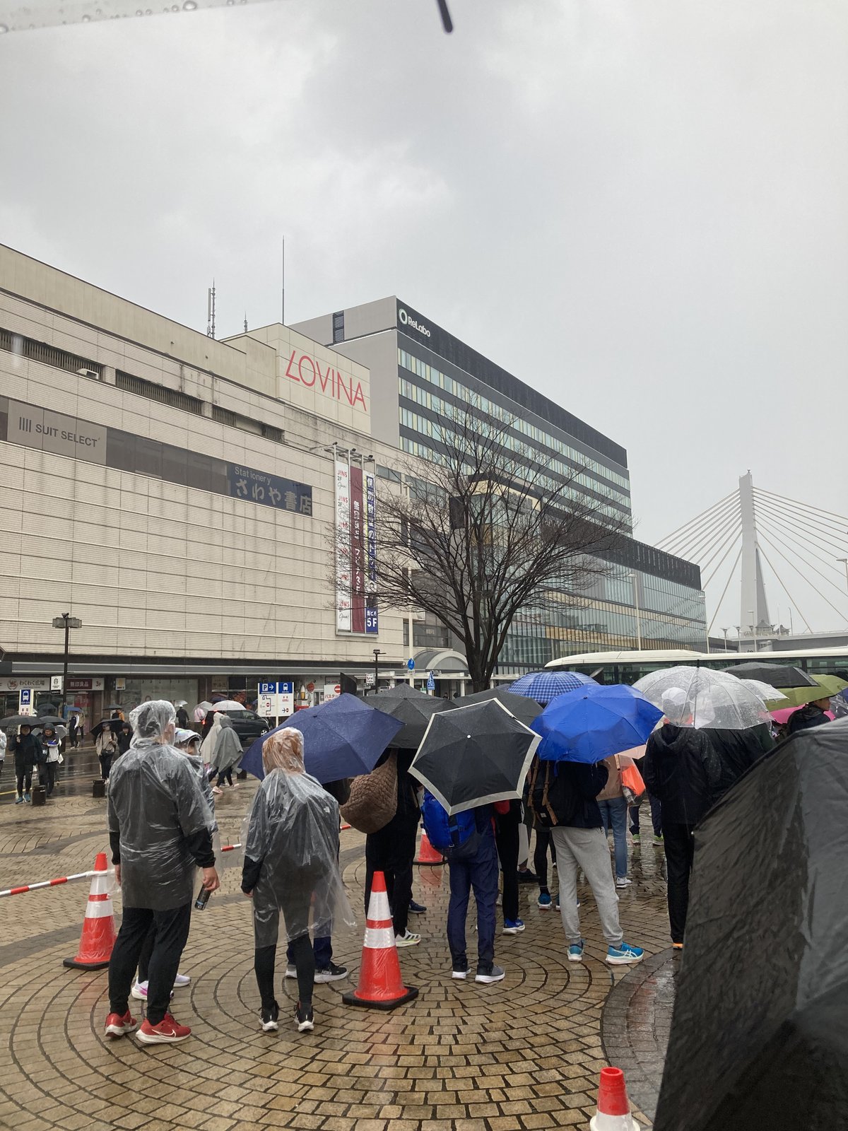 【マラソン】2025あおもり桜マラソンを走ってきた｜Yuusuke_Run