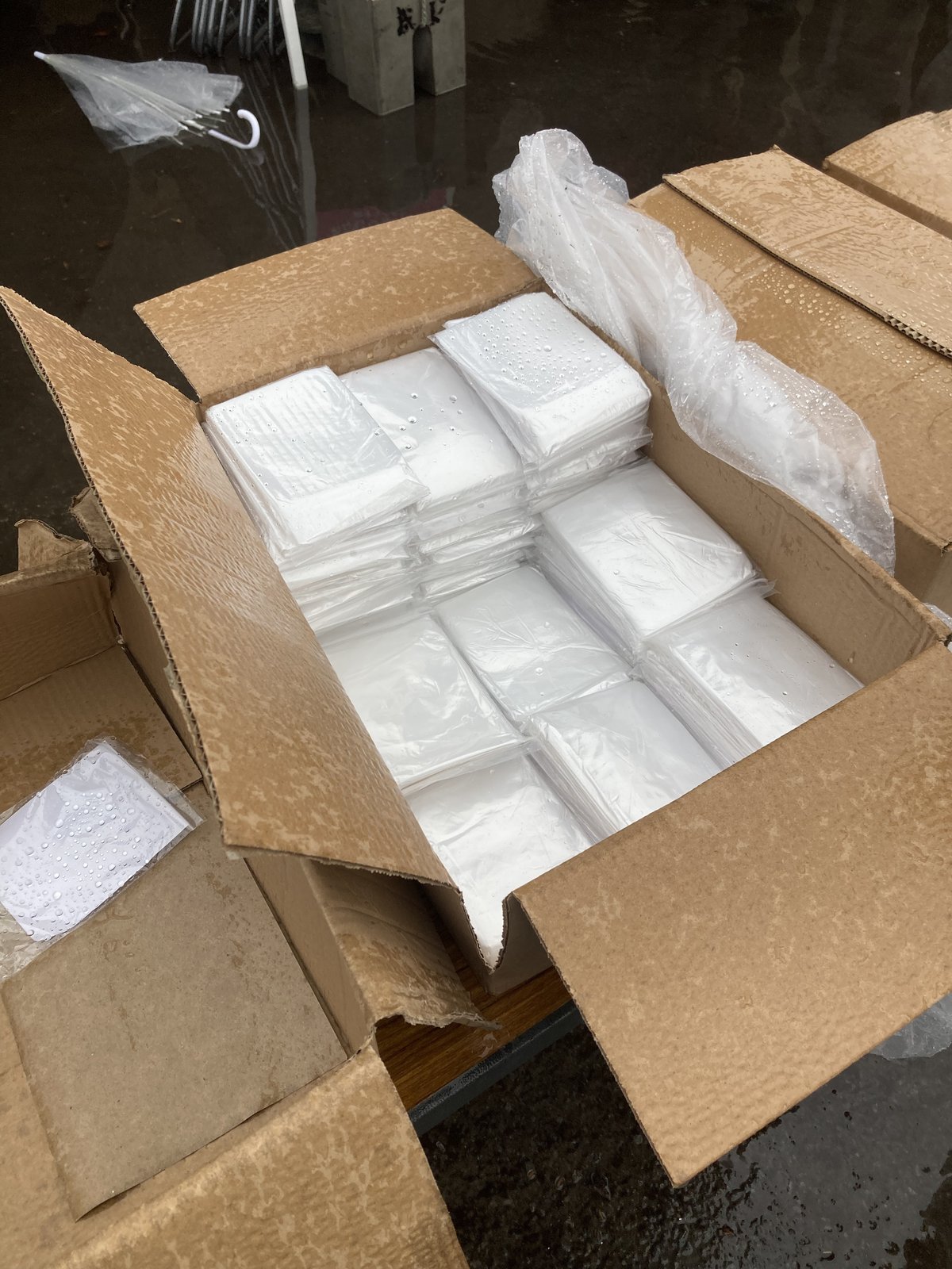 【マラソン】2025あおもり桜マラソンを走ってきた｜Yuusuke_Run