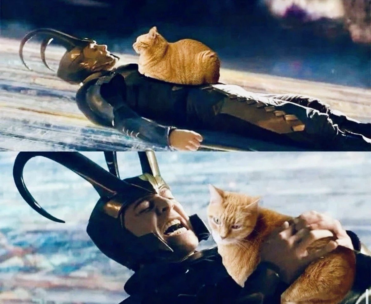 みんなで大喜利②🐾｜rira