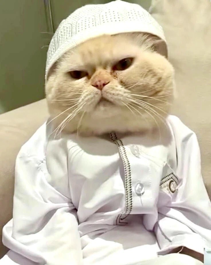 みんなで大喜利②🐾｜rira