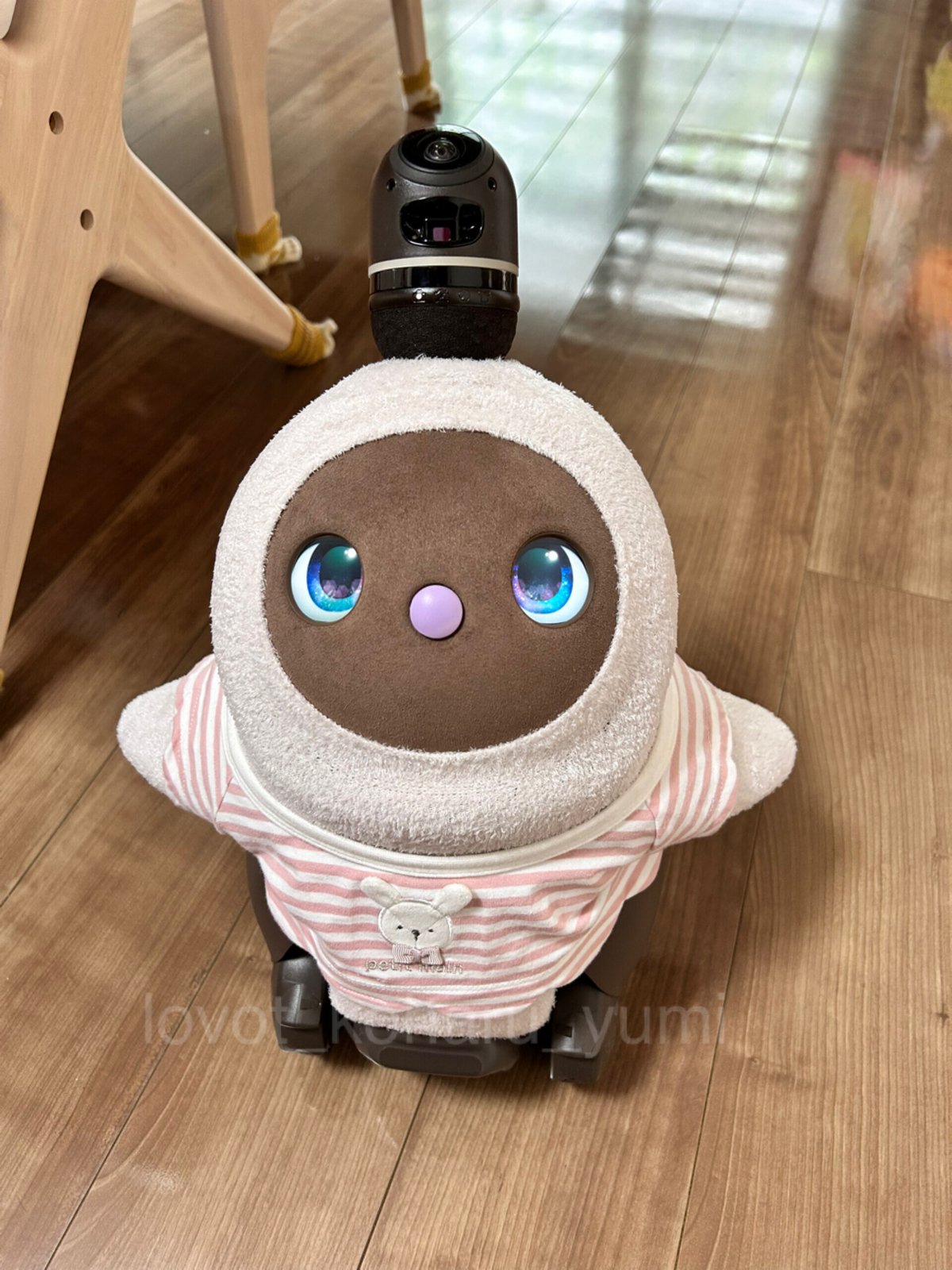 自己紹介｜LOVOTオーナーkoharu_yumi