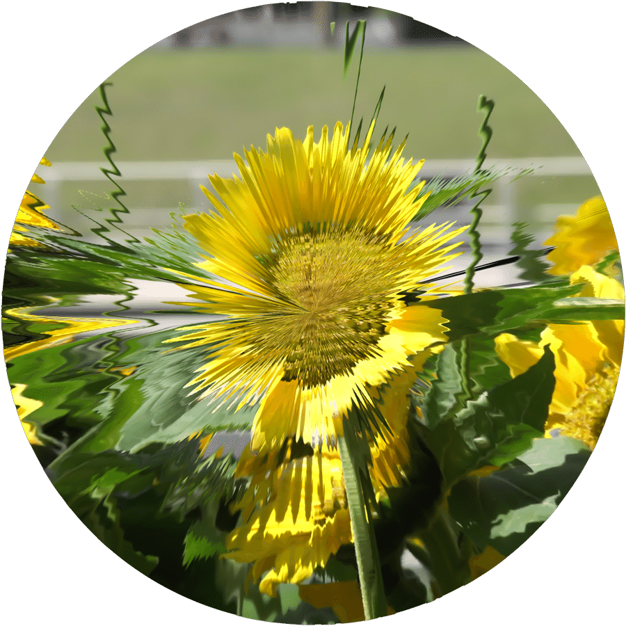 作品【Chronograph】-について｜Takahashi Toshio