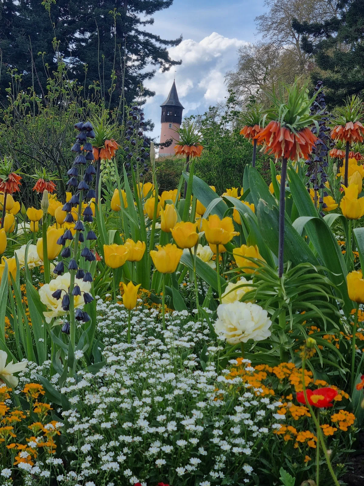 【番外編】歴史と理想が育んだ花の島—マイナウ島の魅力（Insel Mainau ドイツ）｜zakky