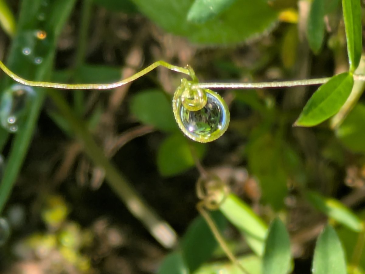 水滴美術館〜絡まる｜ichiro70