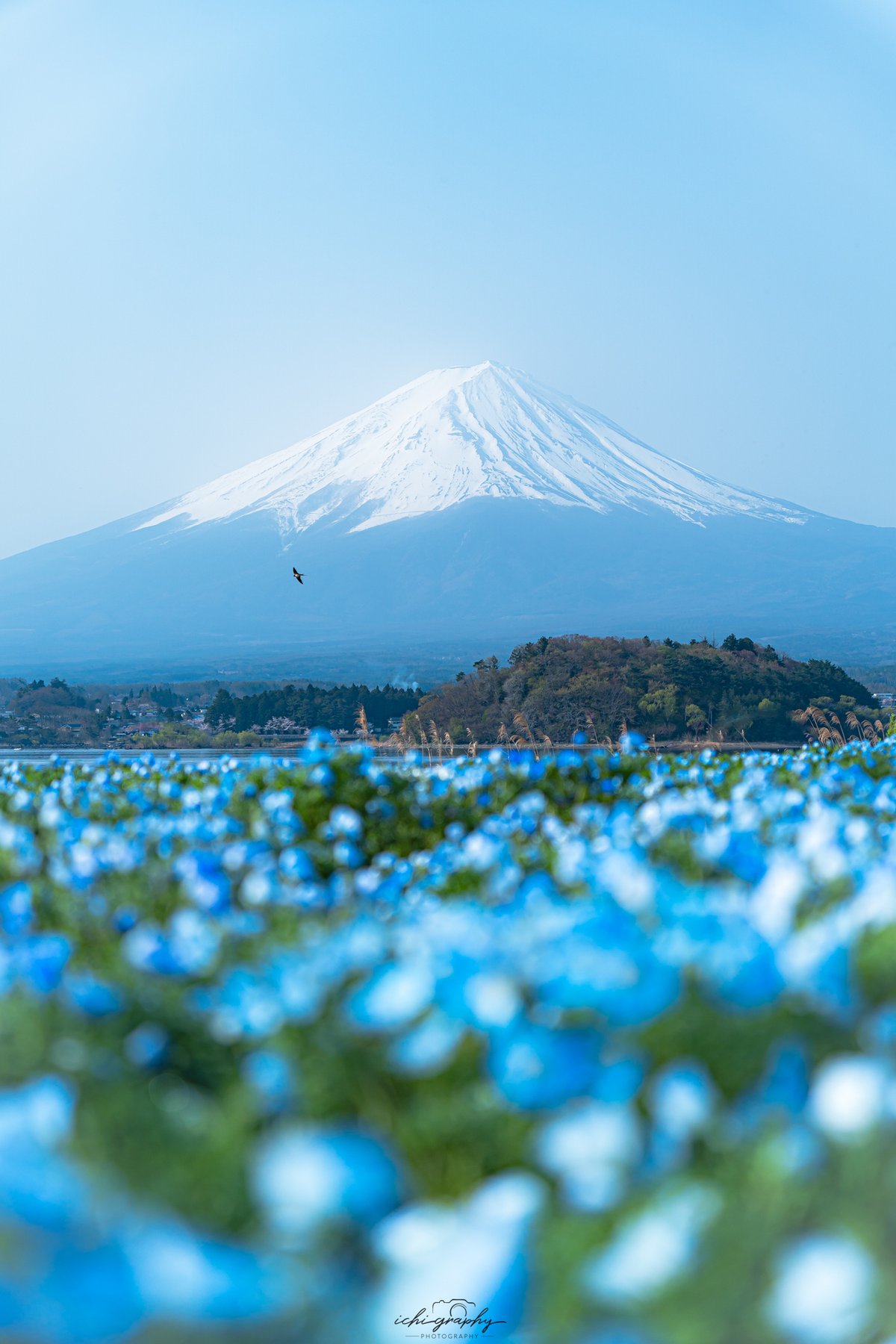 写真初心者から抜け出すために意識したこと📸｜ichi_graphy