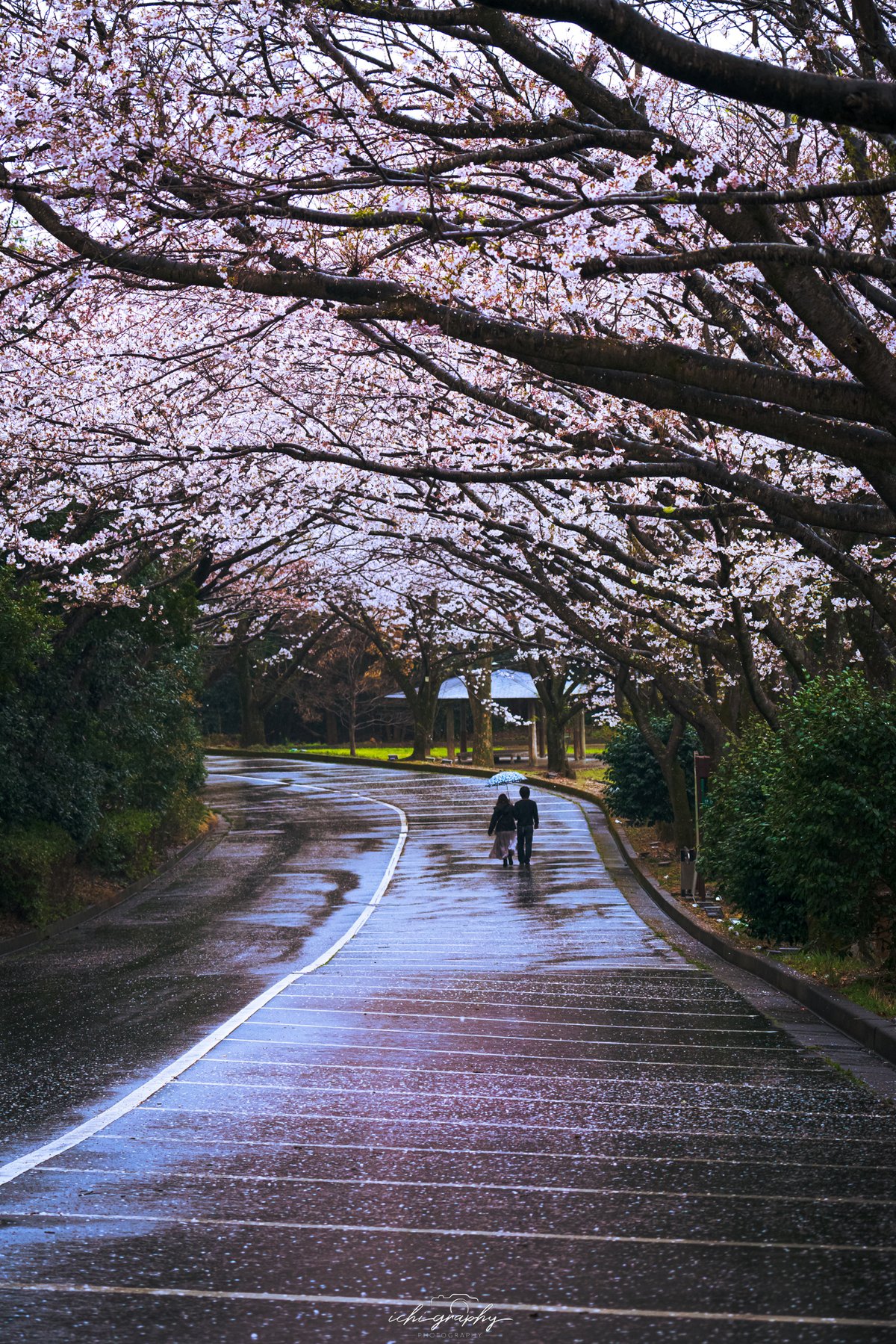 写真初心者から抜け出すために意識したこと📸｜ichi_graphy