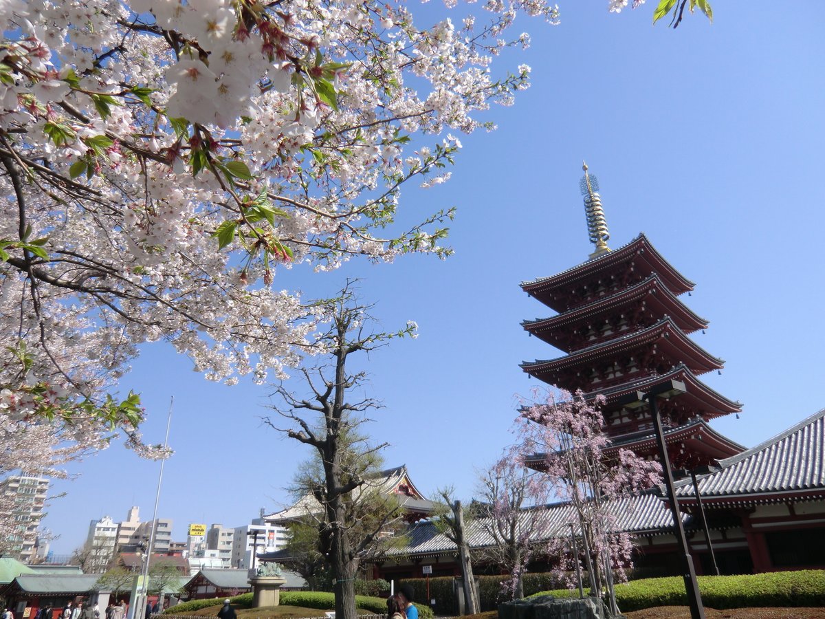 浅草寺と富士山と招き猫のご当地マグネット｜Wakaba Mark2