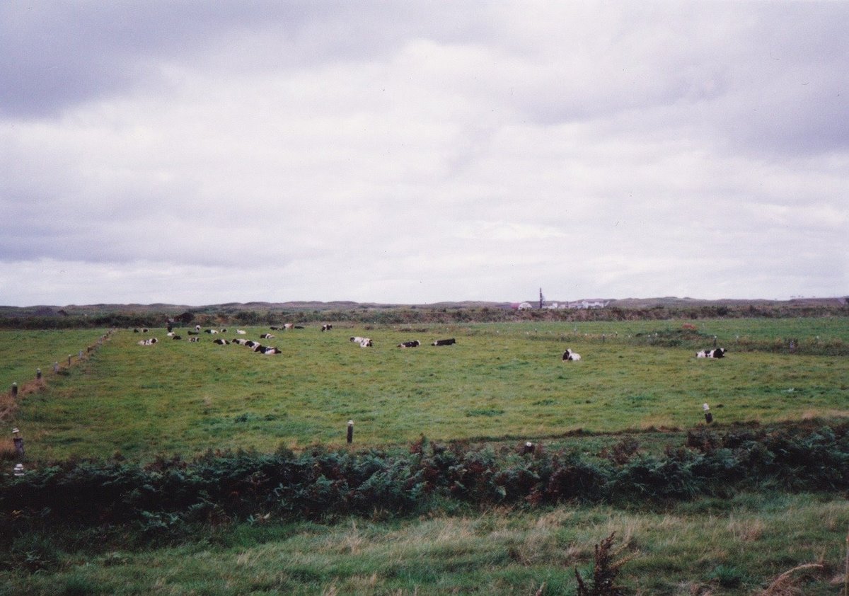 「今月の写真」～境を越えて通信Vol.70～｜NPO法人境を越えて