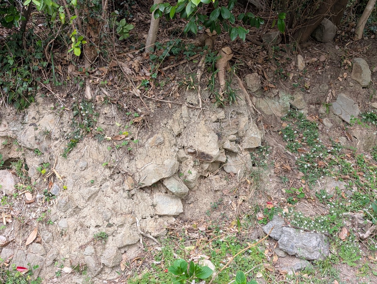 初投稿 四国初上陸｜Kairi