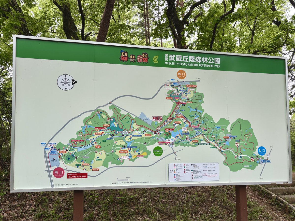 ネモフィラに会いに行く曇り空の休日｜mu｜くまのマフィン