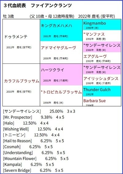 【2025 青葉賞（G2）】～予想篇｜Haya