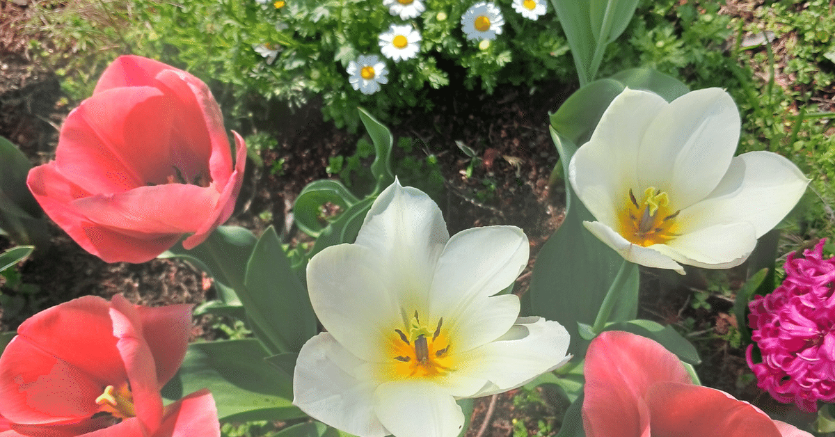 母親だからっていつも笑顔でいなけりゃいけない訳じゃない｜Koki_Kobayashi