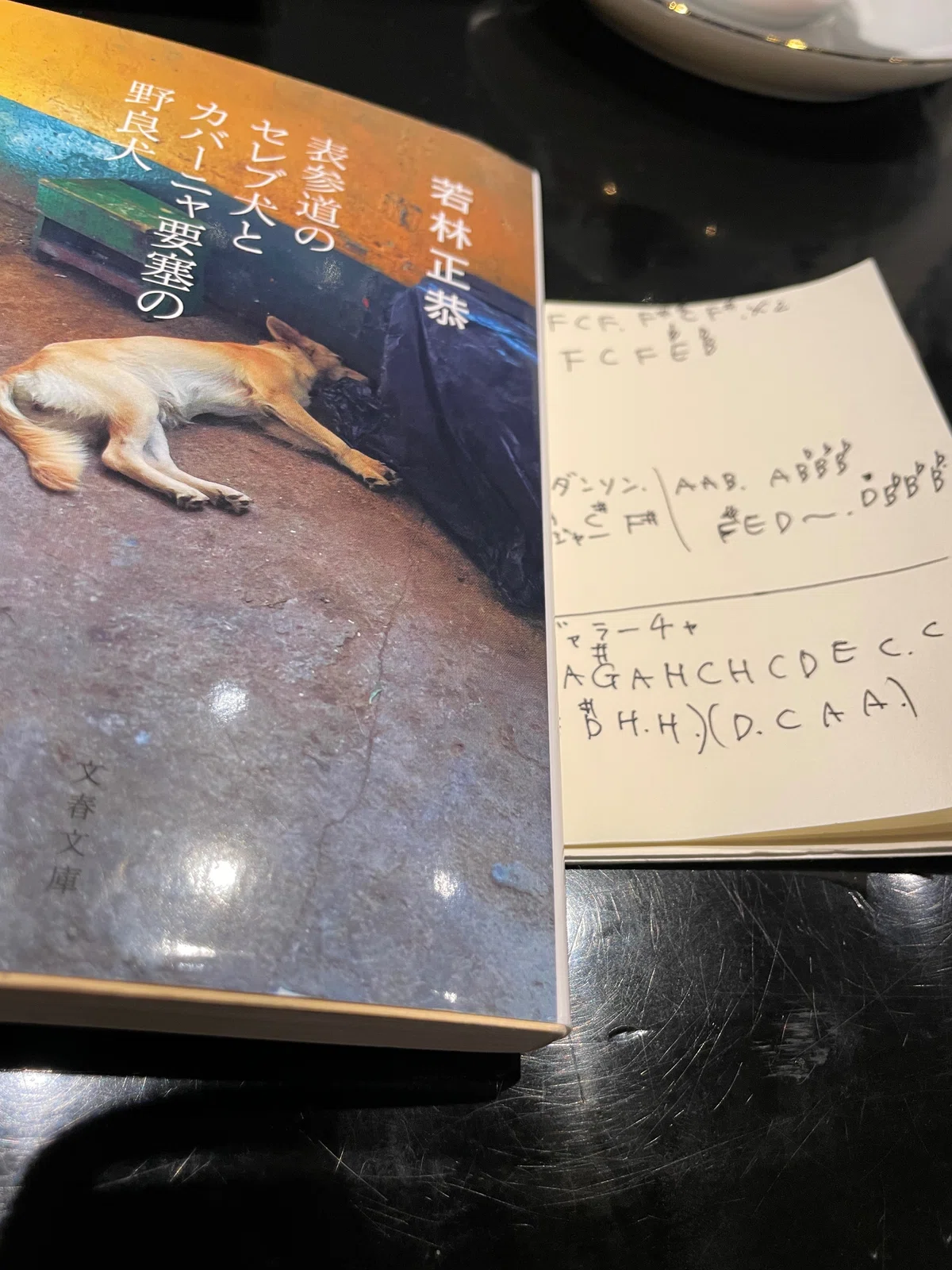 写真展での演奏準備をしています。｜LISA NAGOYA