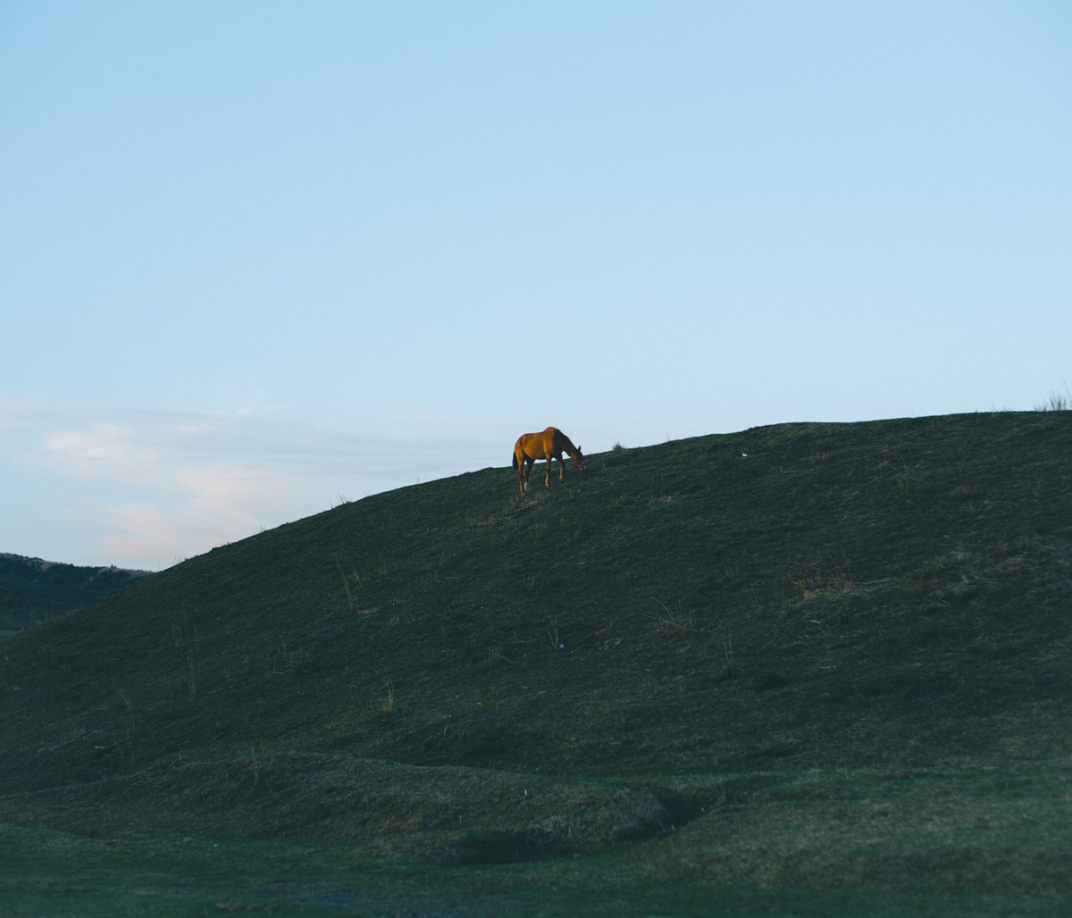 草千里の馬たちと迎える朝。/GFX50SⅡ /mitakon65mm f1.4｜Rintaro Shimada