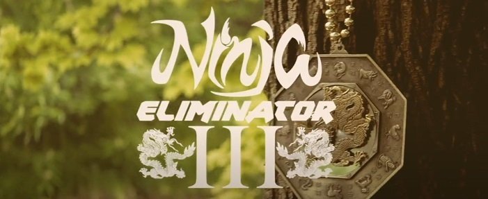 『Ninja Eliminator 3: Guardian of the Dragon Medallion』(2013)【忍者映画】｜超空間 ...