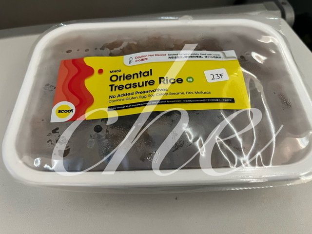 LCCのSCOOTでトランジット｜che