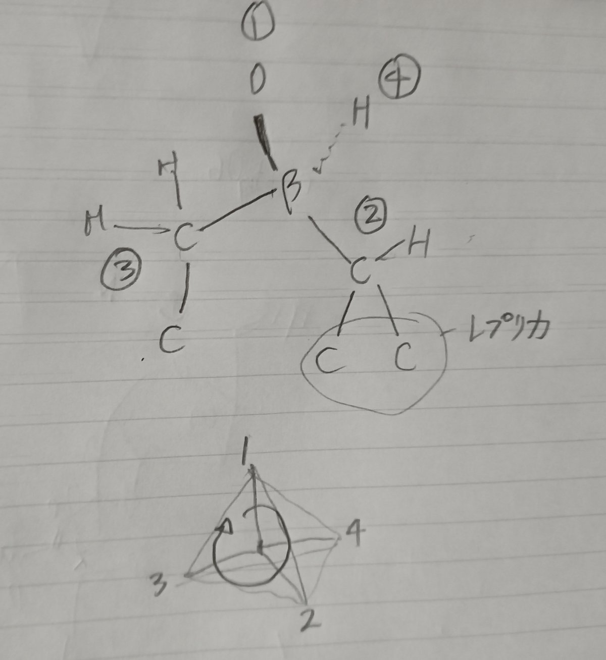 第48回2016年IChO有機分野の解答、解説｜モニックシーケンス